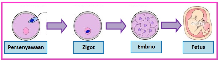 CikGu ReMy: [Quick Revision] F3 - Chapter 4