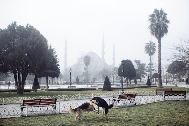 Istanbul