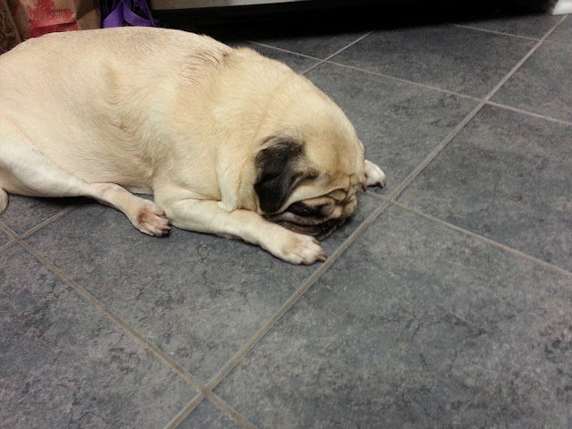 Grubbin' Pugs: Curry Shrimp and Potatoes