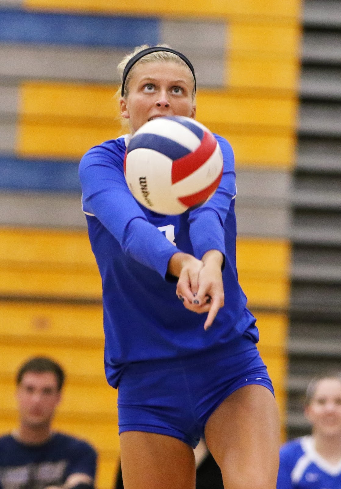 Mark Kodiak Ukena: IHSA Varsity Girls Volleyball: Lake Forest vs Warren ...
