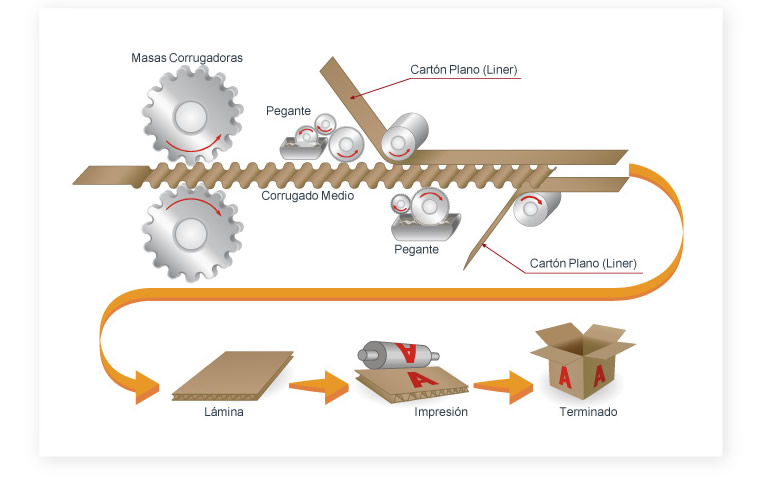 Print Job Mexico: Cartón y sus usos