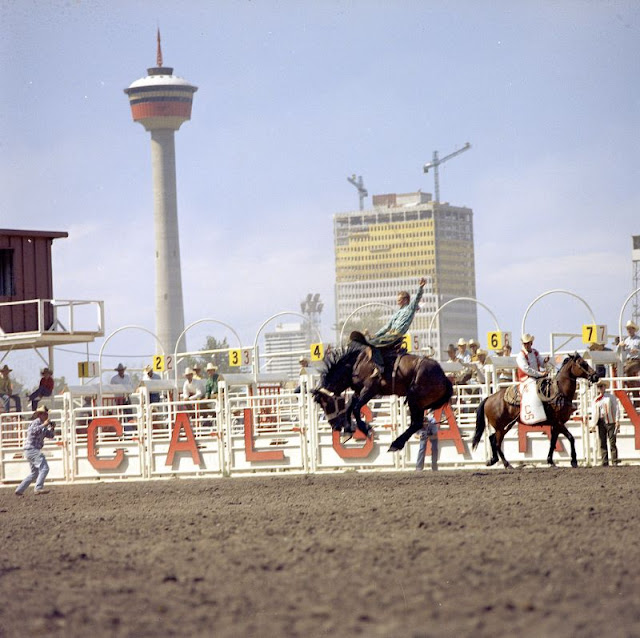 The Calgary Stampede: One of the Largest Outdoor Rodeos in the World ...