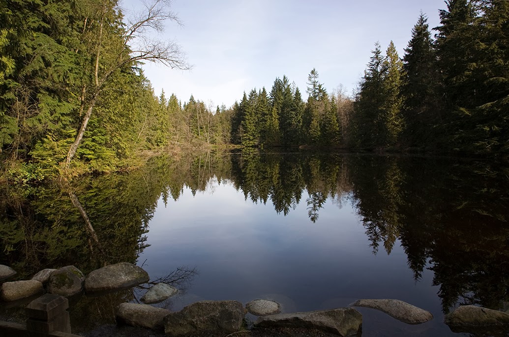 Terry O'Neill: Mundy Forest must be for the people