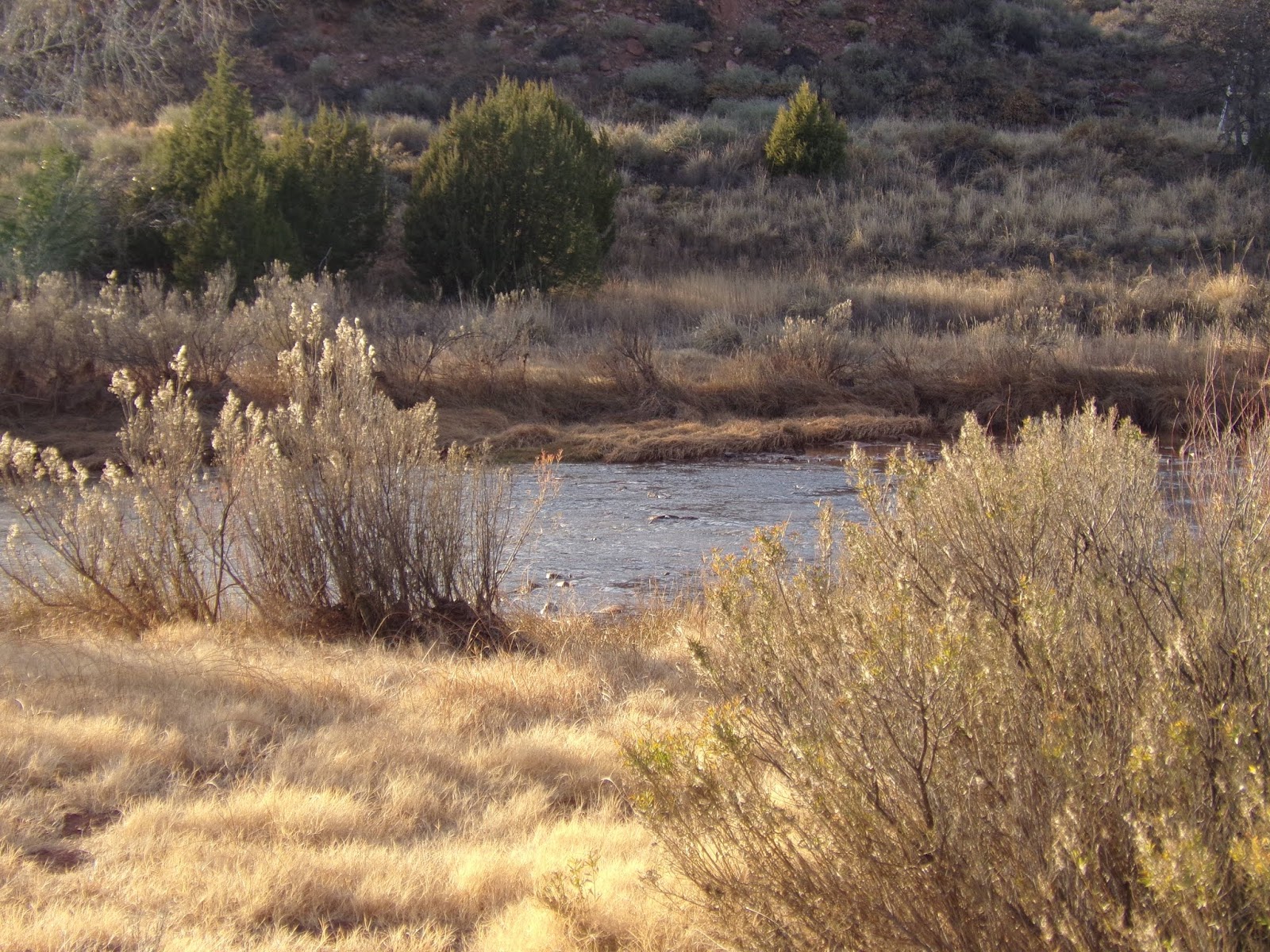 Sumner Lake State Park, Fort Sumner, New Mexico