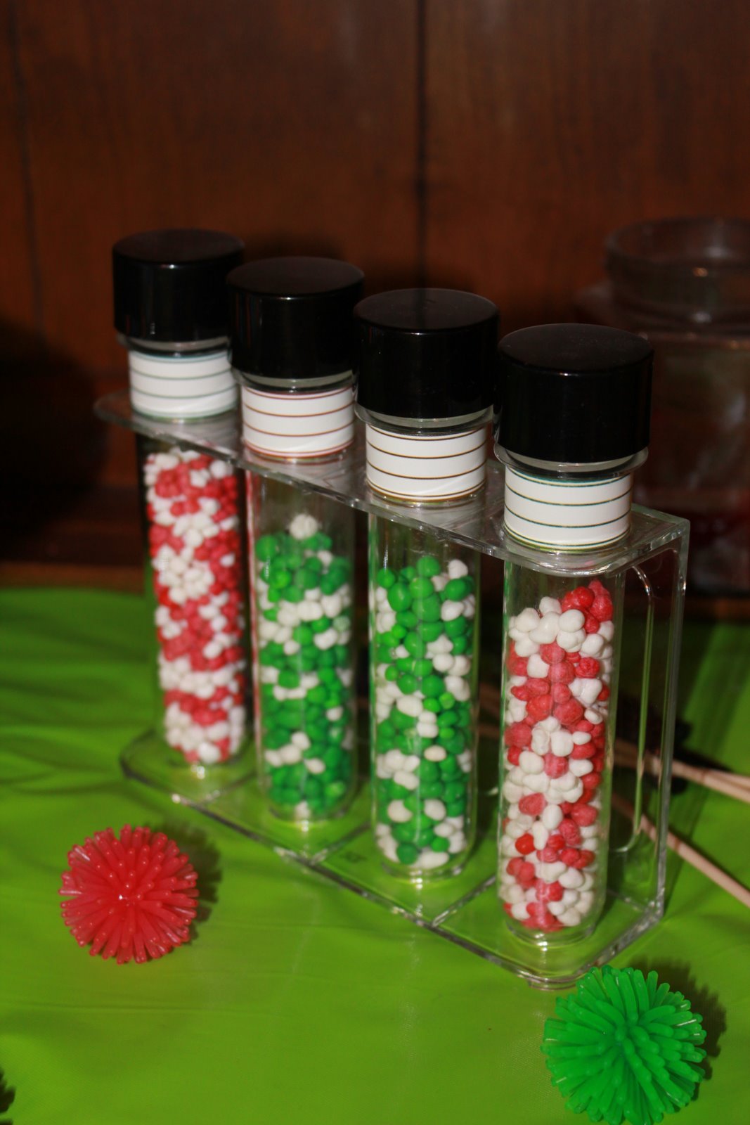 THE MUDDY PRINCESS: Science Birthday Party