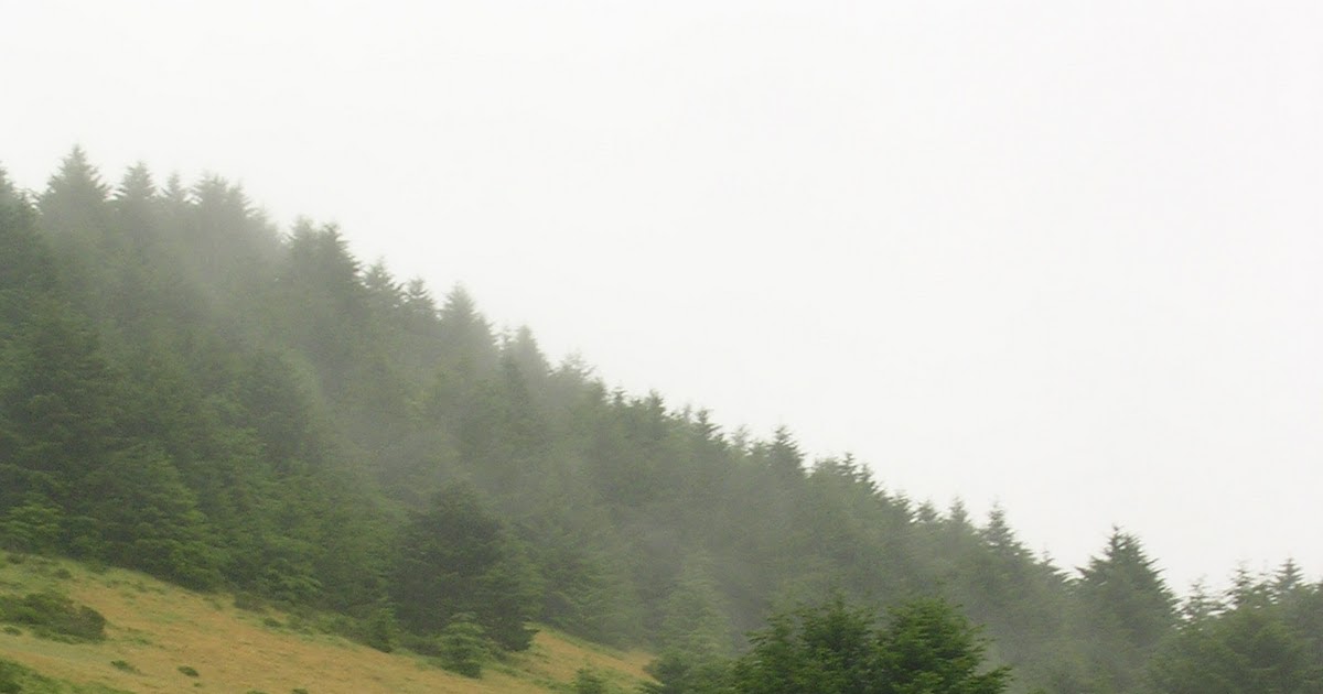 French Vocabulary Illustrated: versant