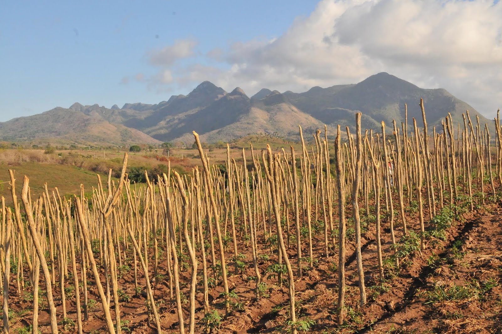 Obligaciones del Usufructuario - Derecho Civil
