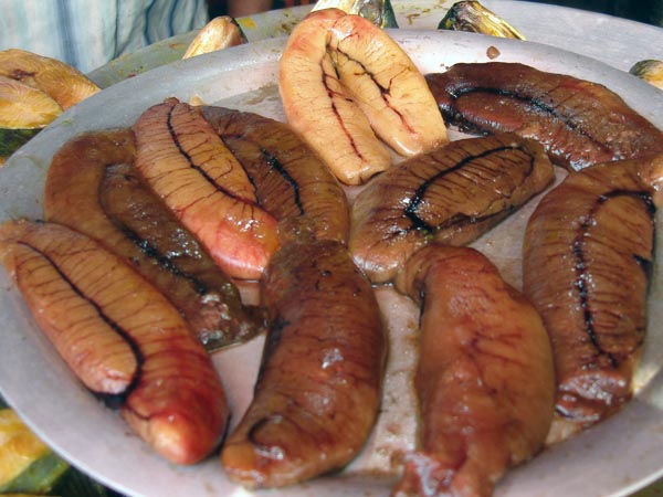 10 Bizzare and Weird Food That Are Eaten In India - FalseFree