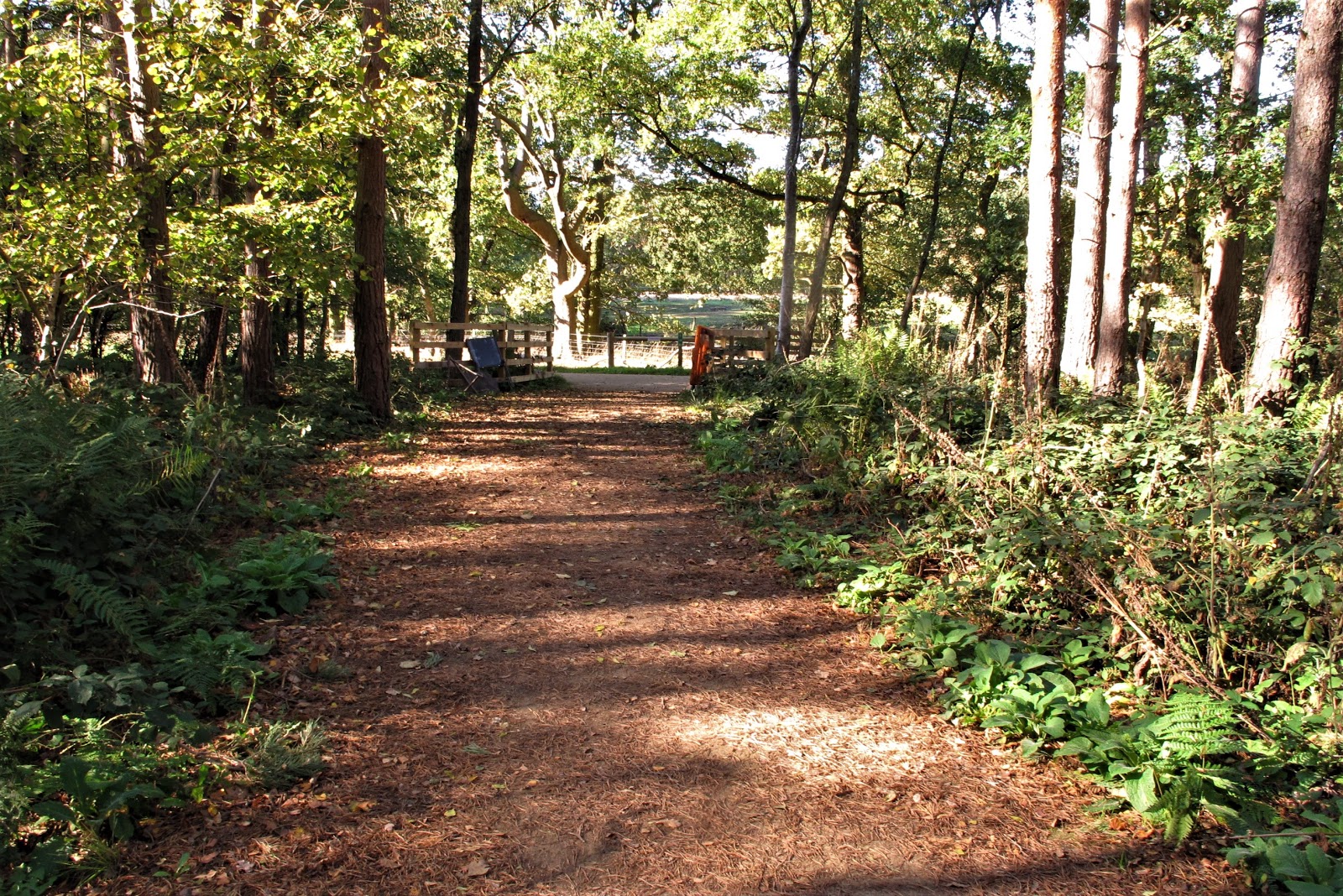 Two Wheels and a Camera: Calke Abbey and the Tramway Trail