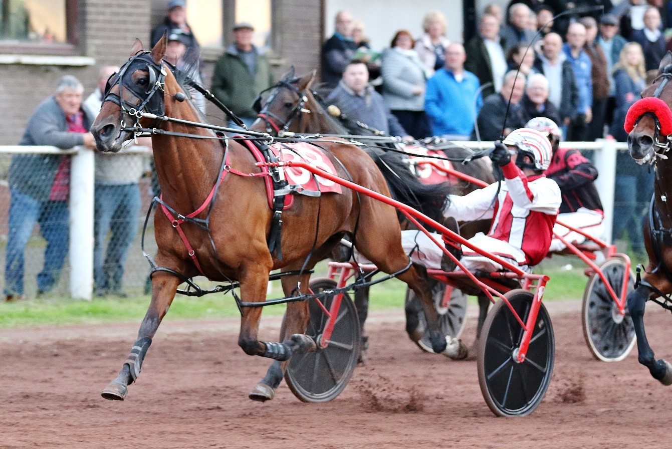 Harness Racing in the UK: Oakwood Stud Mares Pacing Series 2017 - Meet ...