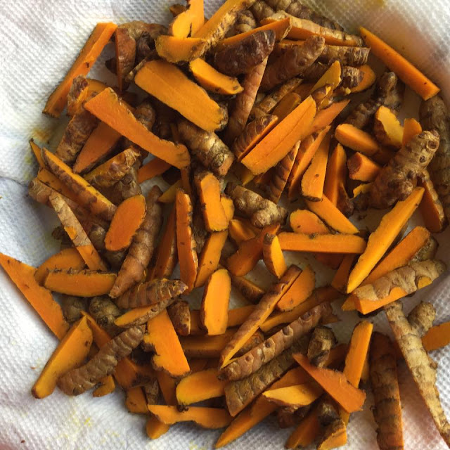 Priya's Page: Homemade Turmeric Powder