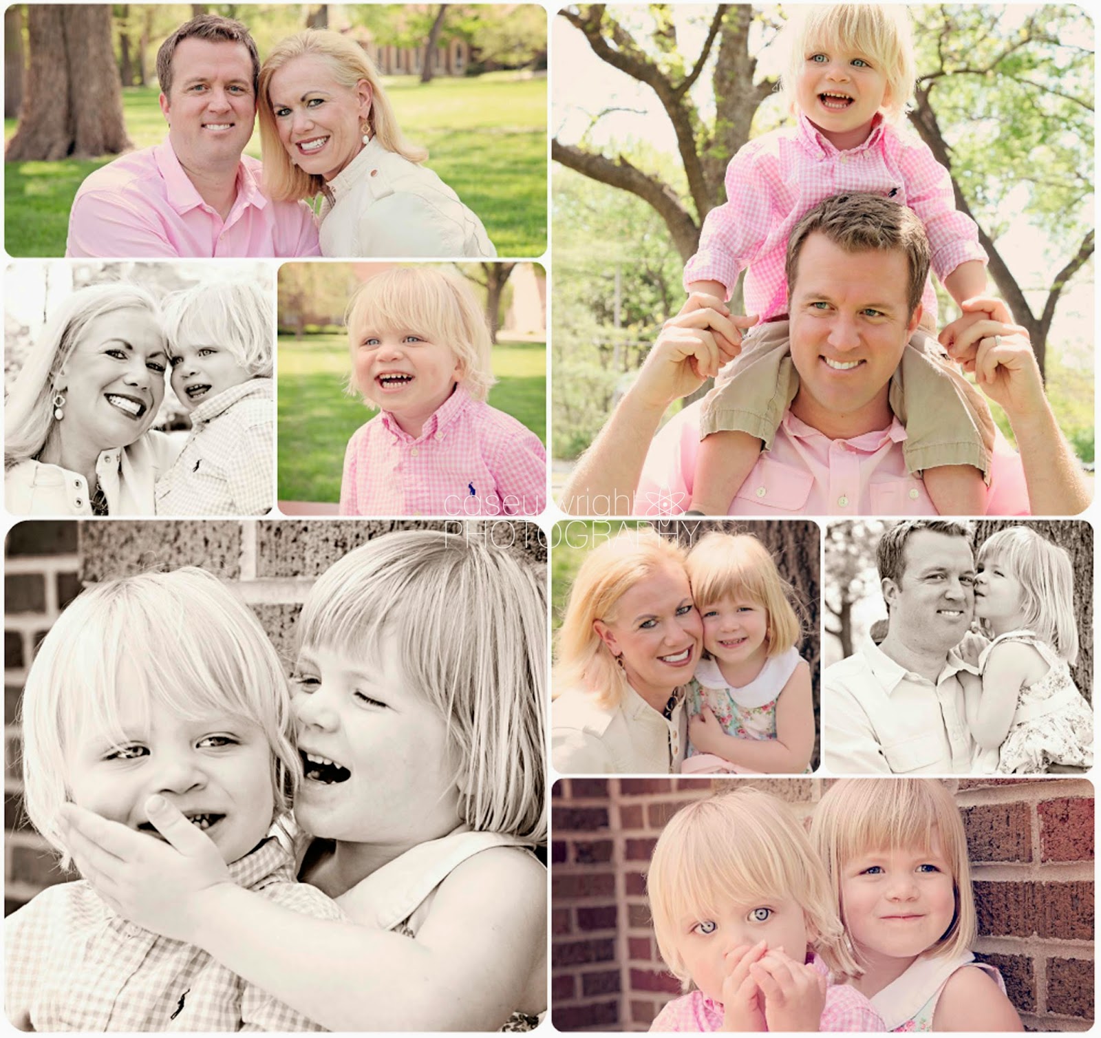 creativecasey: Spikes Family: an evolution ~ Casey Wright Photography