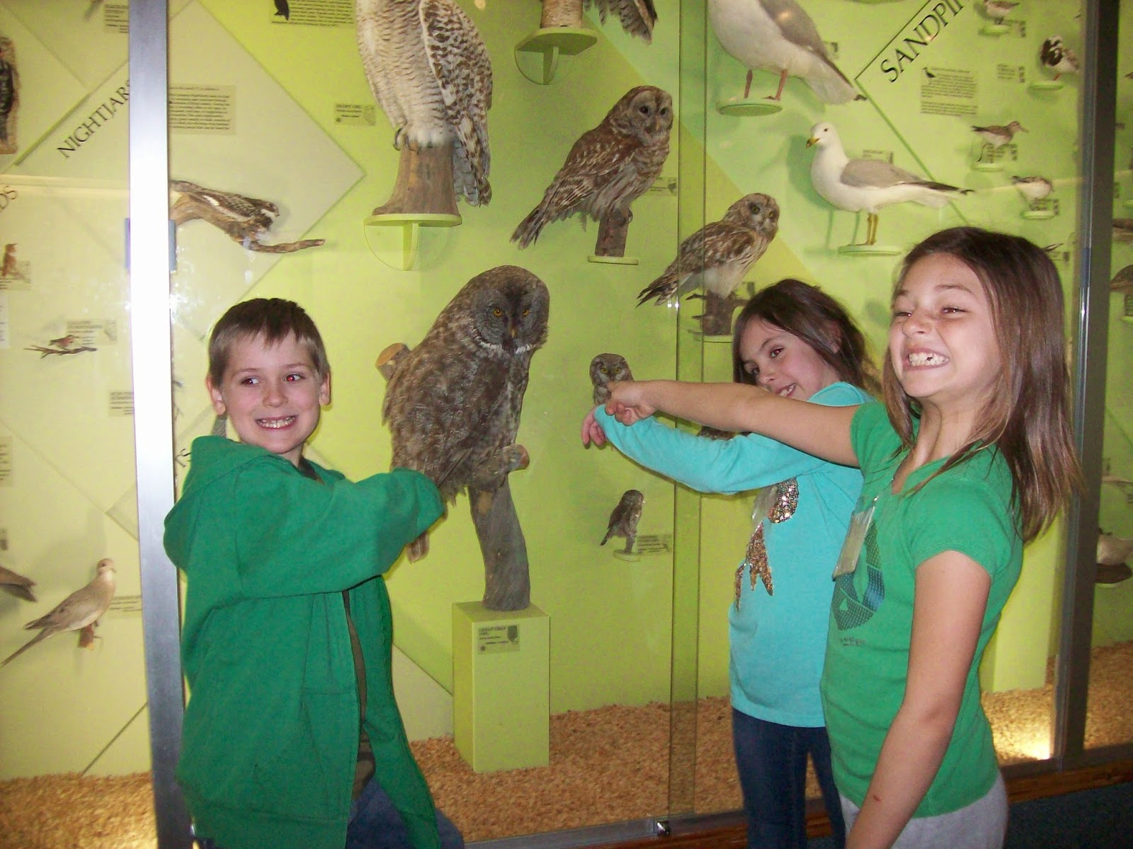 Holt's Hodgepodge & Hullabaloo in Two: March 2014