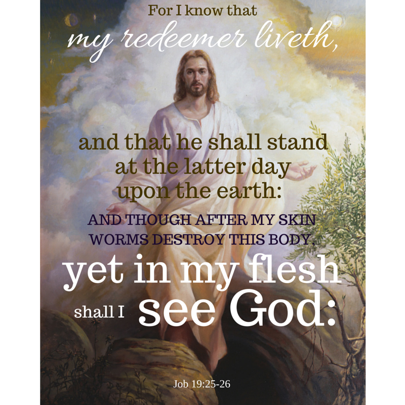 LDS Scripture of the Day: Job 19:25-26