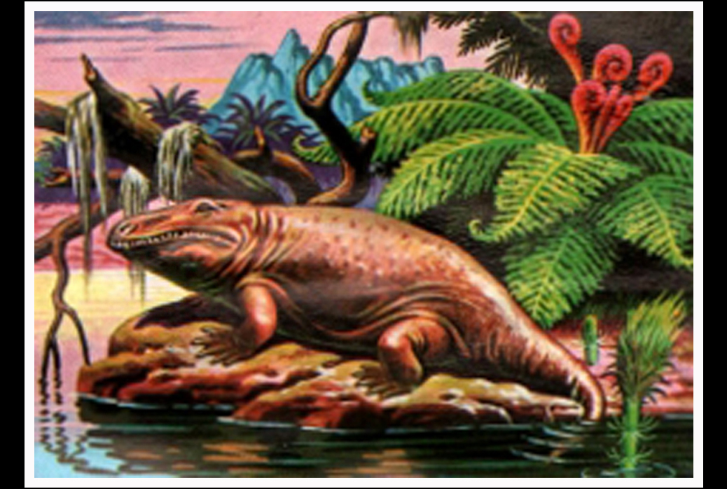 Miniaturas de Oxkarth: Hace Millones de Años - Álbum de Cromos - Parte 2