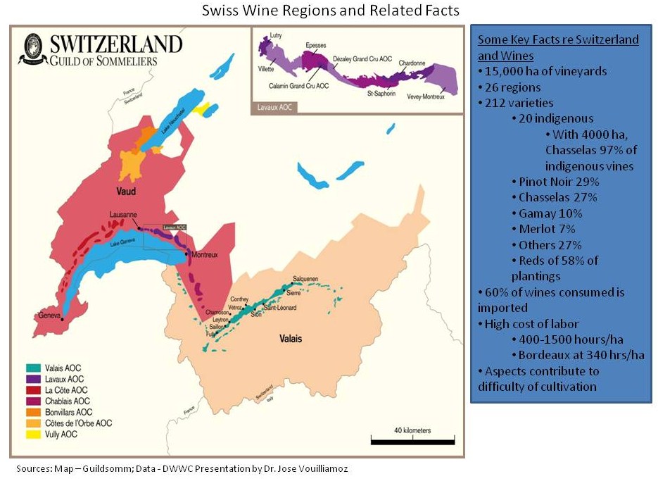 Wine -- Mise en abyme: DWCC15 Masterclass -- Swiss Wine Booster Shot
