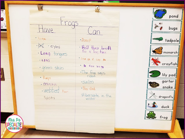 Use Hands On Activities To Teach Students About The Frog Life Cycle ...