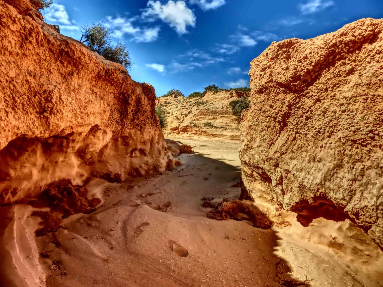 LA CÁMARA DE JUAN M. ORTEGA: FUERTEVENTURA - El Barranco de los ...