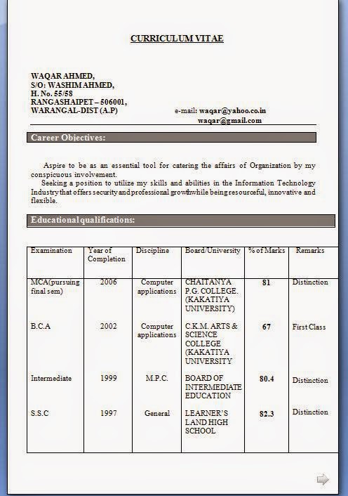 international resume sample