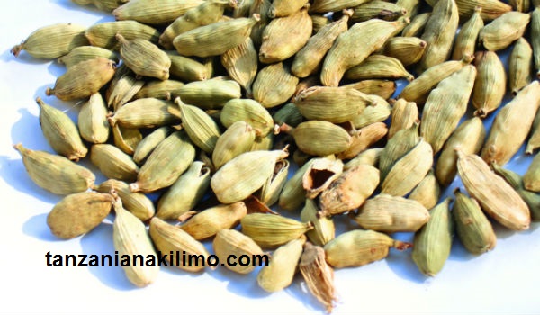 KILIMO BORA CHA ILIKI/SPICE - KILIMO NA UFUGAJI