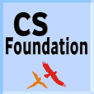 CS Foundation | :: VISIONN CS