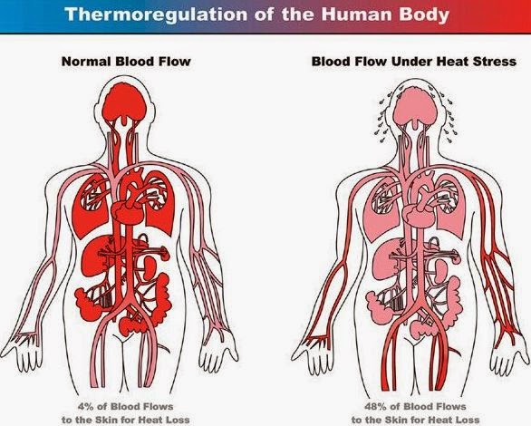 The Body Blog: Hot and Cold