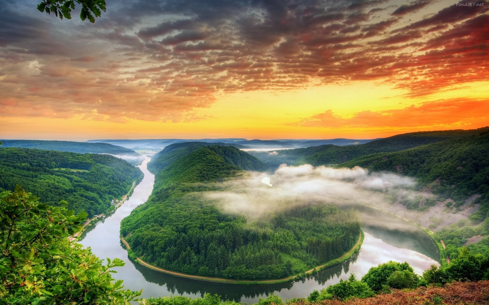 purpura: SELVÁTICOS...ALERTA