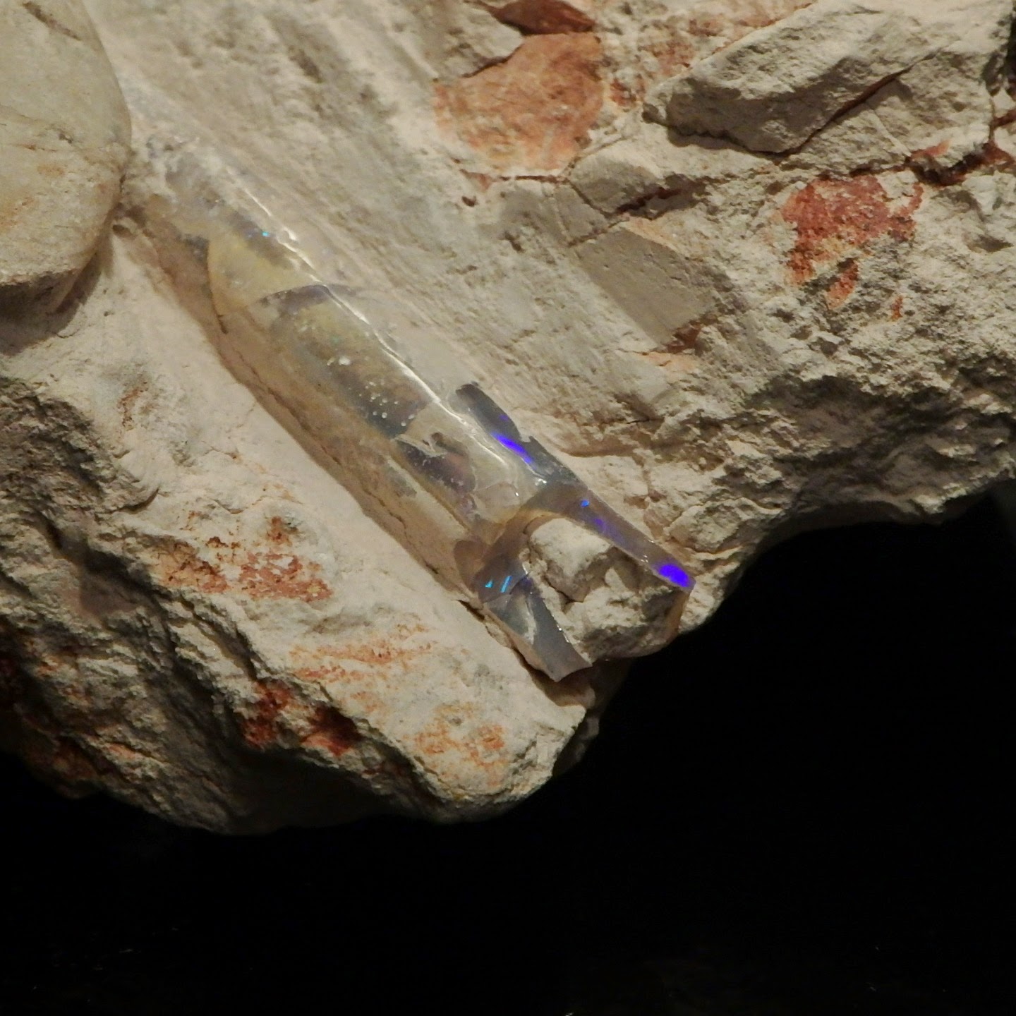 BONE ROOMS: The National Opal Collection