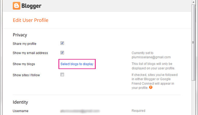 Plumrose Lane Tutorials: How to: Set up Your Blogger Profile