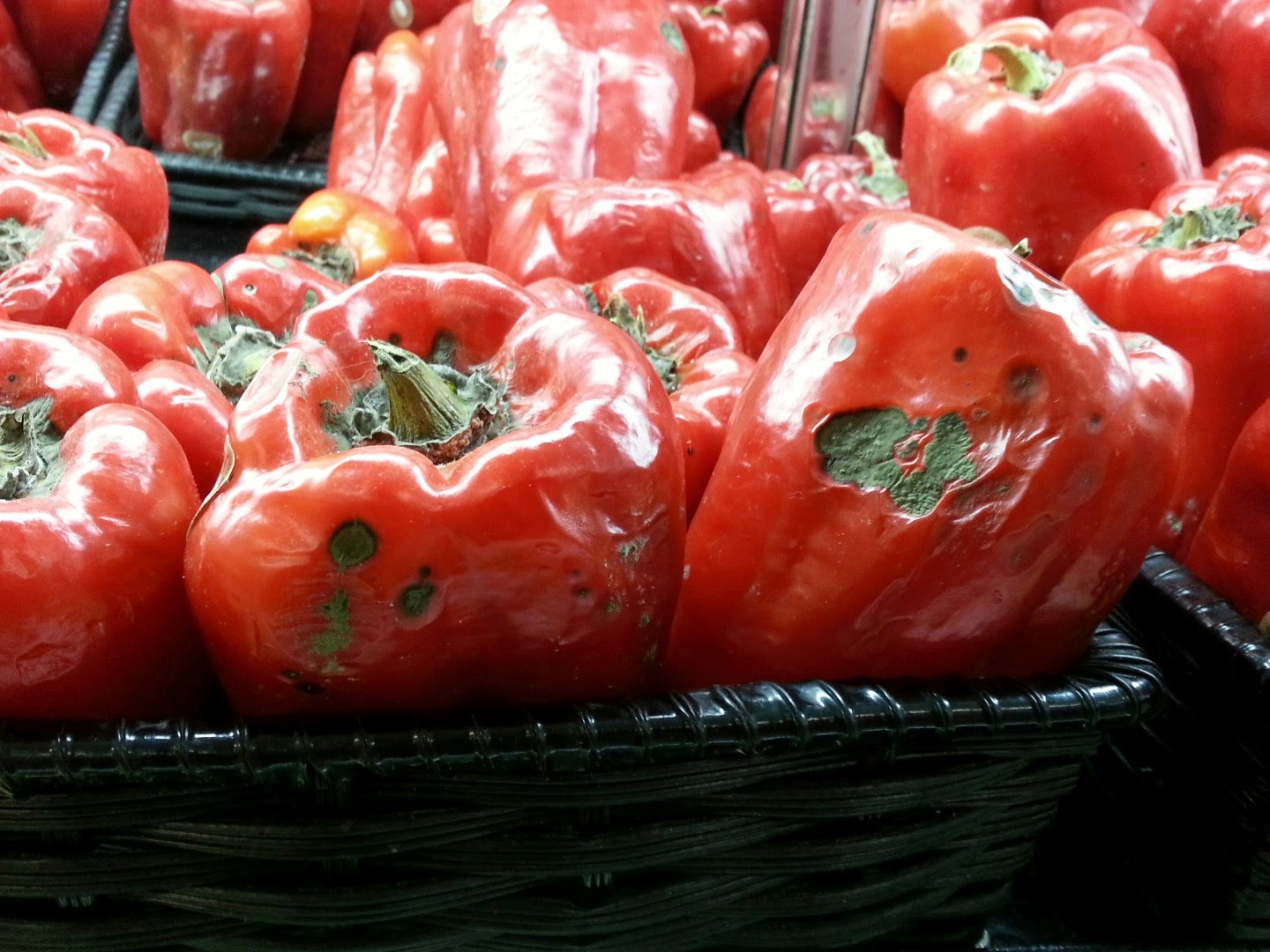 Pieces of Eights: The rotting fruit & vegetables of Palau