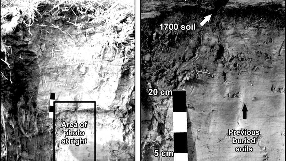 1700 Cascadia earthquake