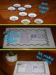 2nd Grade Sleuths: Facts in a Snap: A writing activity