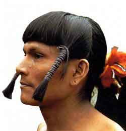 EL CAJON DE LOS CONOCIMIENTOS: JÍBARO