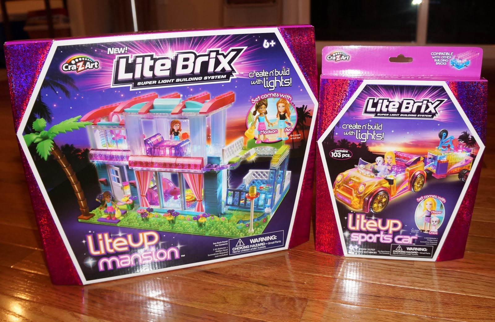 Evan and Lauren's Cool Blog: 11/3/13: Lite Brix Mansion and Sports Car