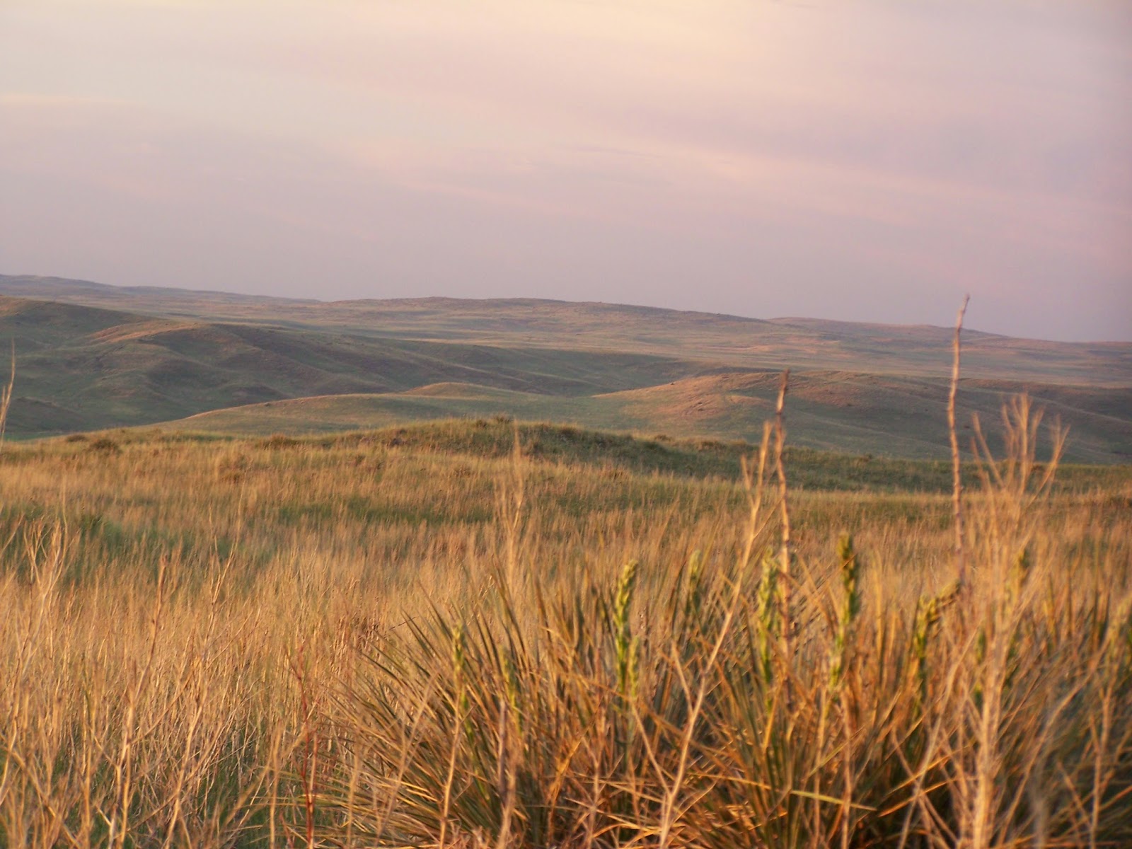 A Beautiful Sandhills Morning