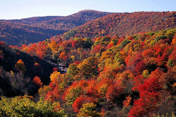 Brilliant Autumn Colors Paint Great Smoky Mountains of Gatlinburg