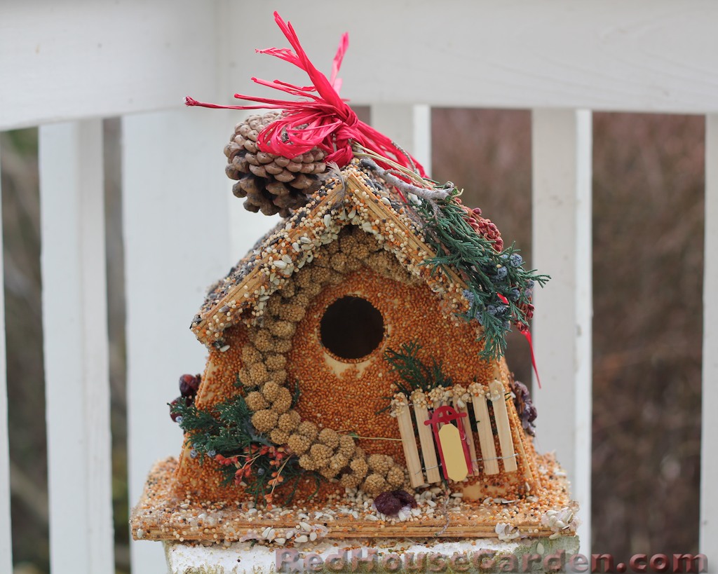 Red House Garden: An Edible Birdhouse