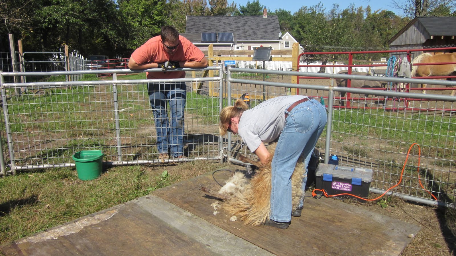 visualize industrial collapse