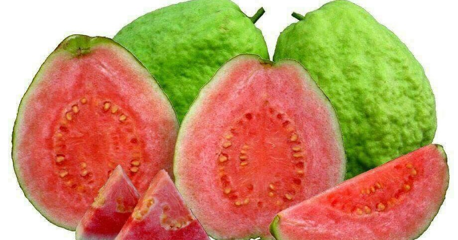 WATERMELON GUAVA