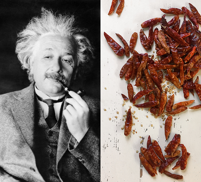 TableTales: RELATIV GENIAL