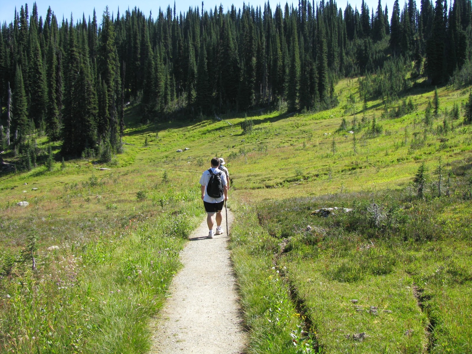 Wanderlust: Eva Lake: Revelstoke National Park
