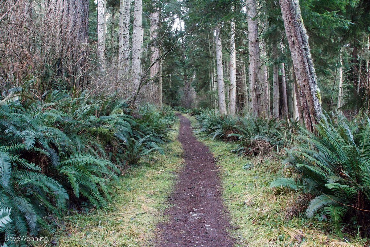 Hoypus Point: The CCC Crossing Trail