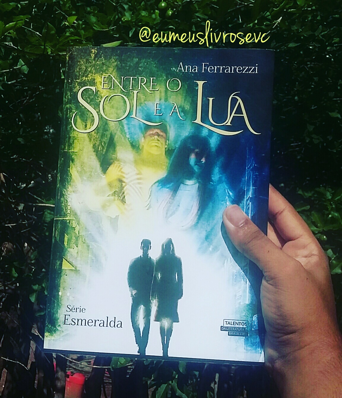 Resenha do Livro Entre o Sol e a Lua da autora Ana Ferrarezzi publicado pela editora Novo Século ...