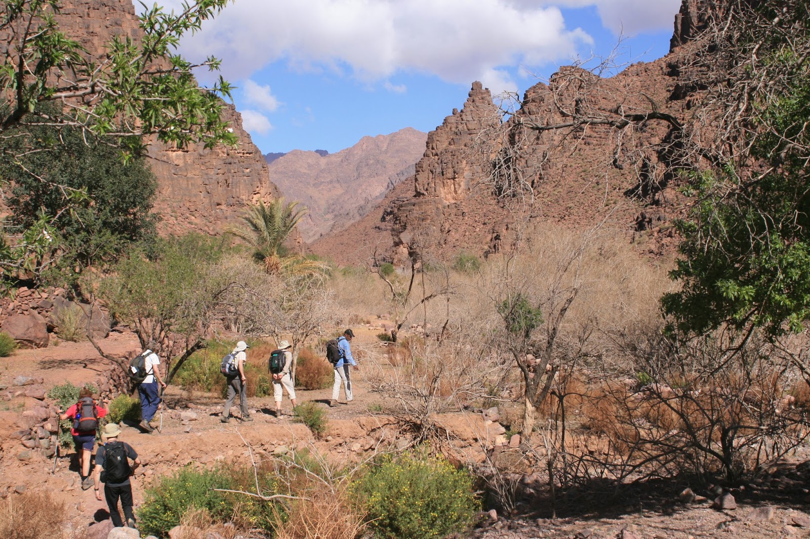 Nine Toed Nomad: Jebel Sahro, Morocco