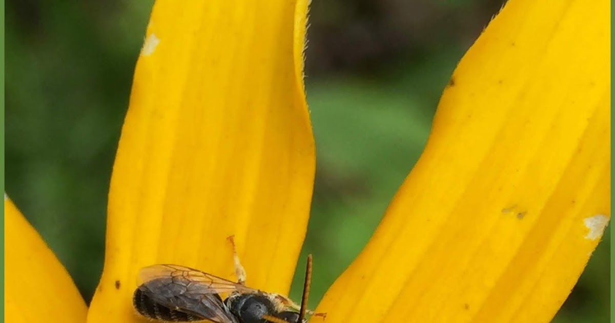 Beth Fish Reads: Wordless Wednesday 505