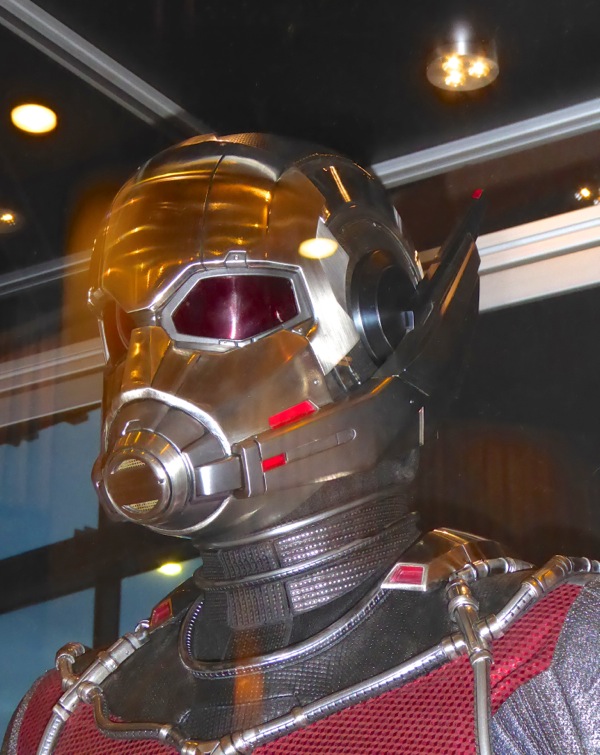 Hollywood Movie Costumes and Props: Paul Rudd's Ant-Man costume from ...