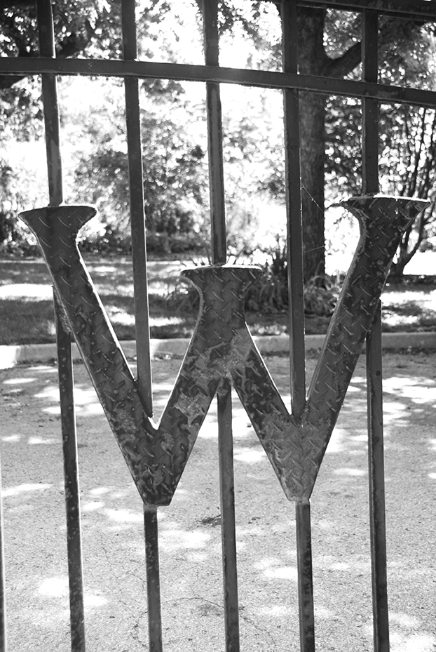 My Cup Overflows: Alphabet Photography