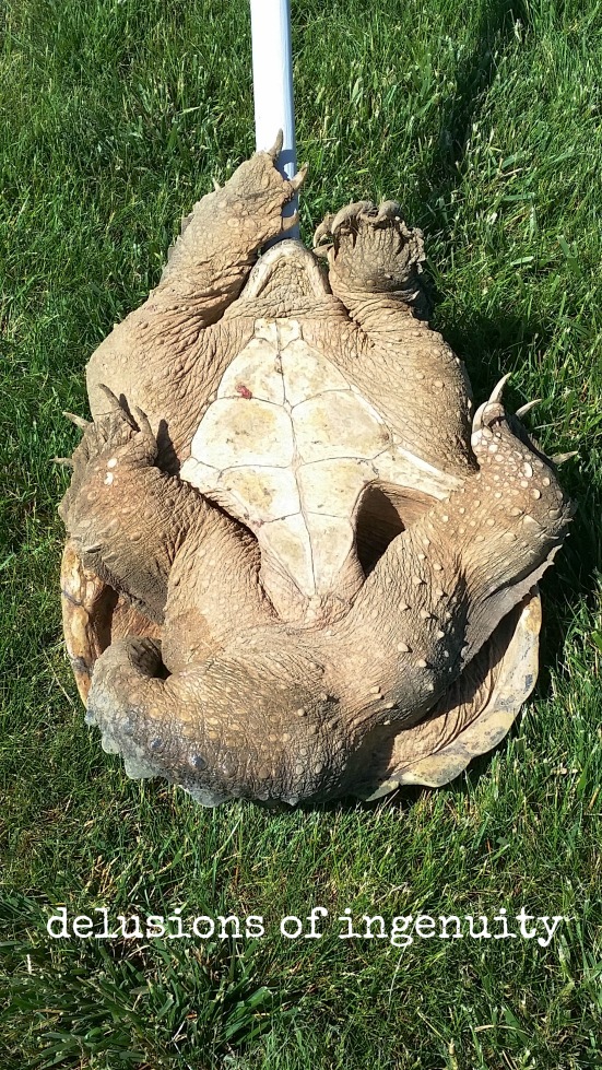 delusions of ingenuity: philosaurus rex: dinosaur hunter