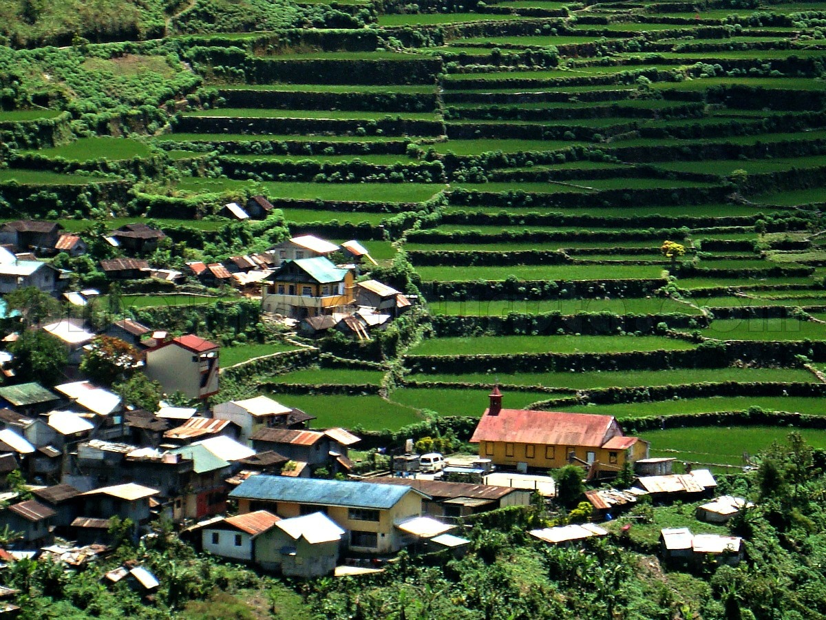 Mountain Province - Stopover at Bay-yo Rice Terraces in Bontoc | Blogs ...