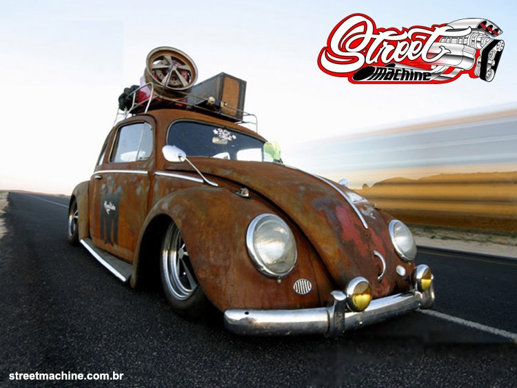 Ctba Boxer Rust Cuture Rust Cuture